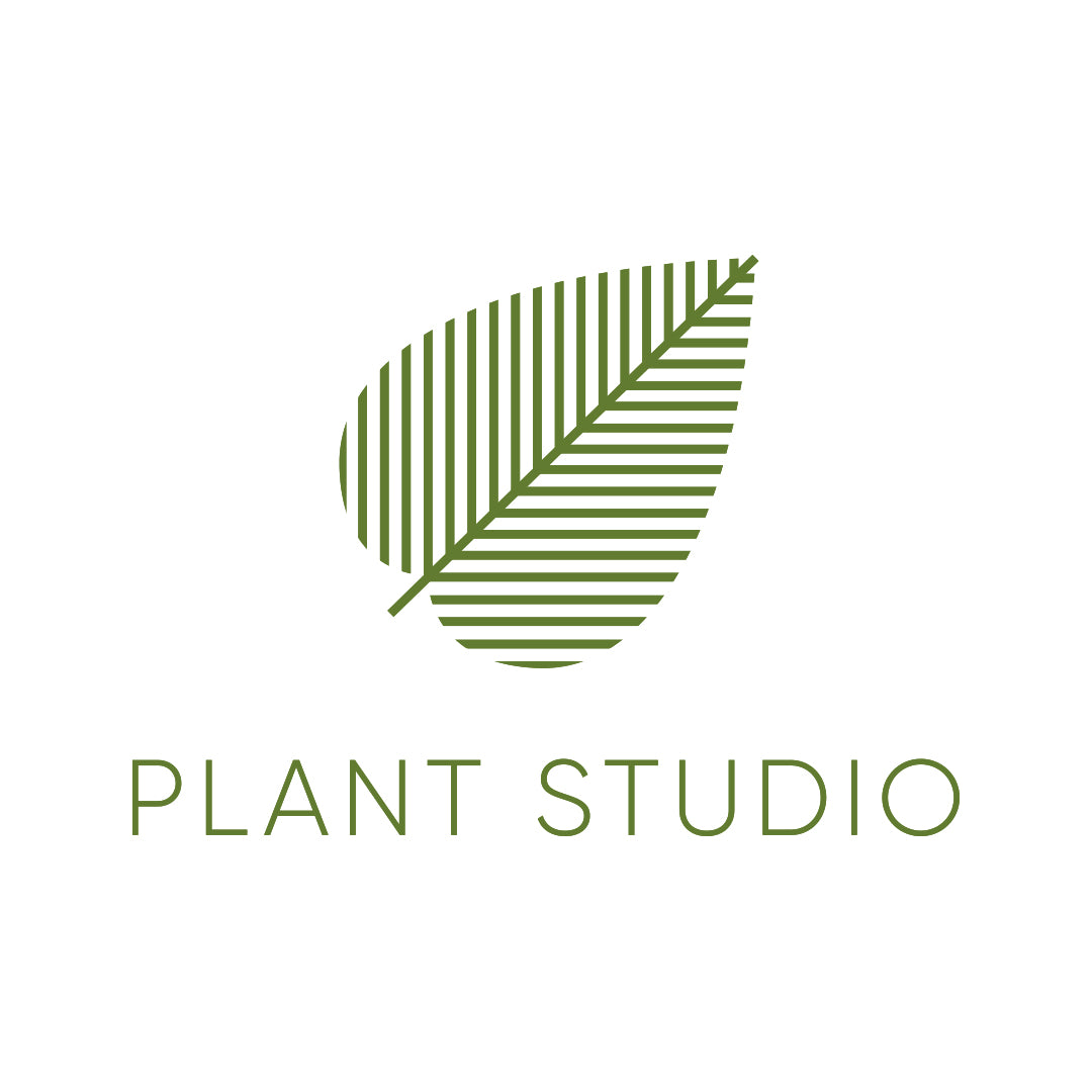 Buy Plants Online in Dubai | Indoor Plants and Trees in UAE – Plant ...