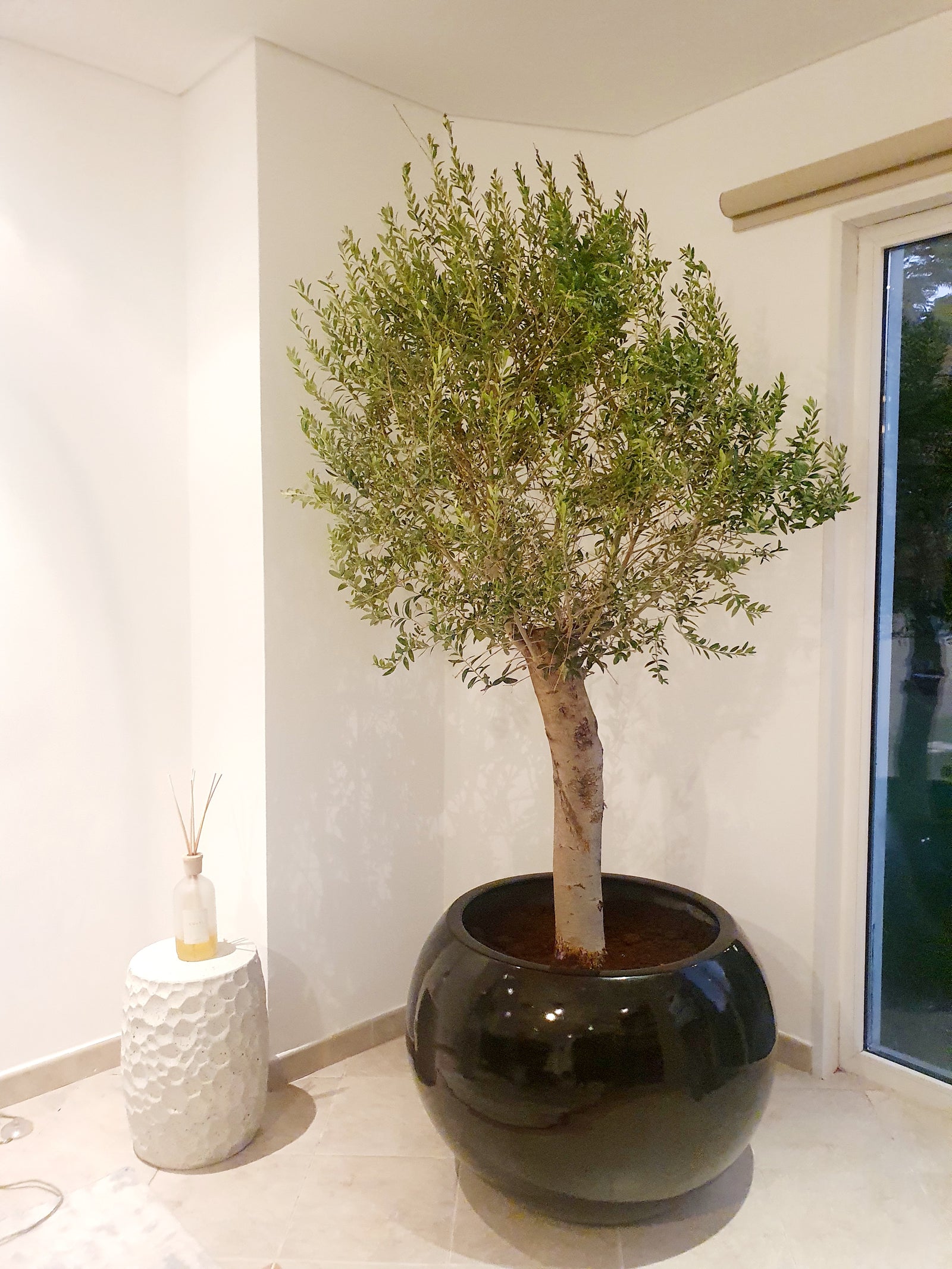 Round Fiber Glass Pot – Plant Studio LLC