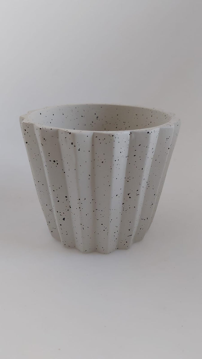 Edge Pot 15cm – Plant Studio LLC
